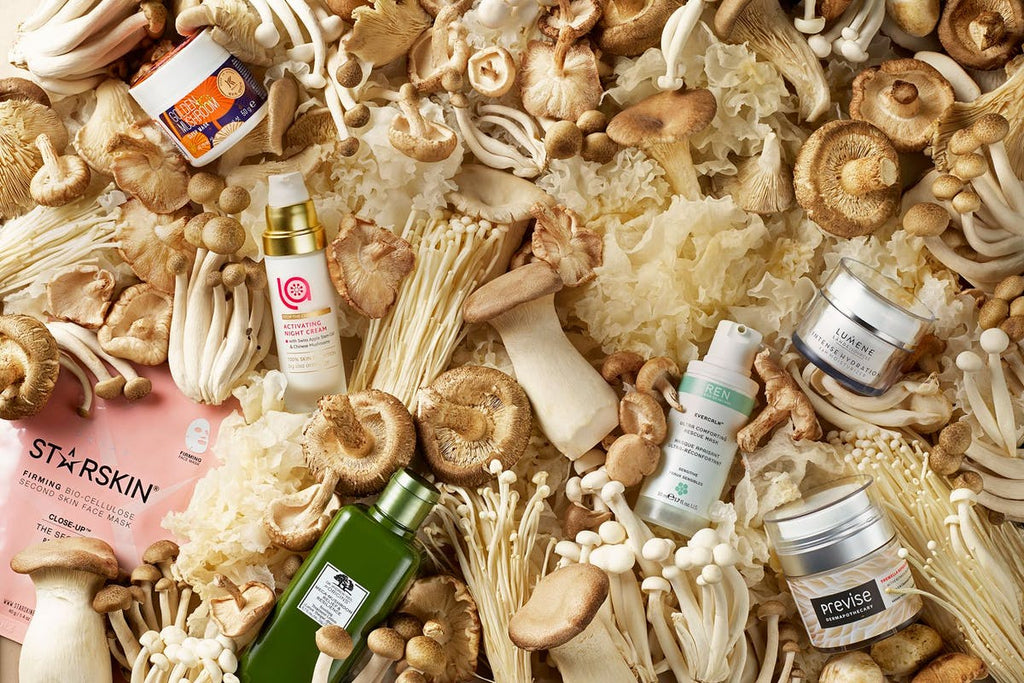 Kërpudhat në kujdesin e lëkurës: Gjithçka që duhet të dini – UNI Cosmetics